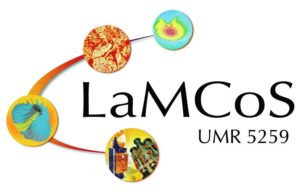 LMGC90 - MiMeTICS